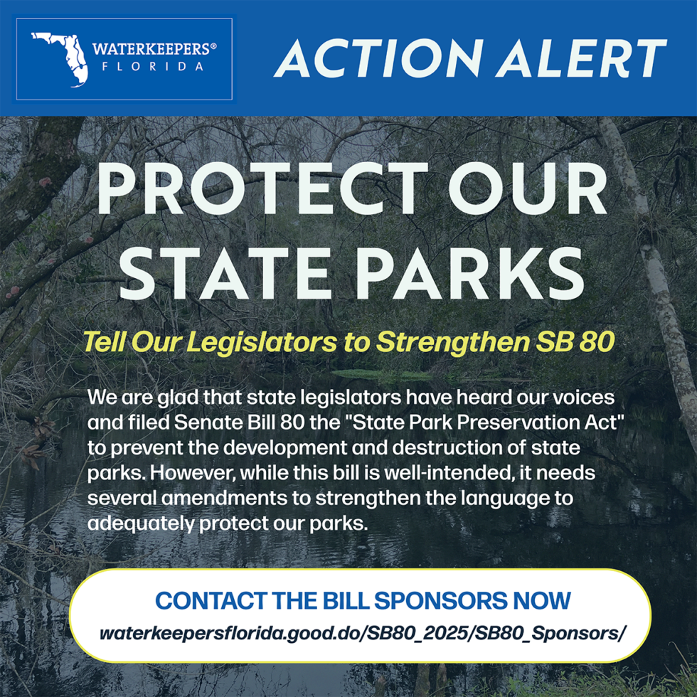 Call to Action: Protect Our State Parks - St. Johns Riverkeeper