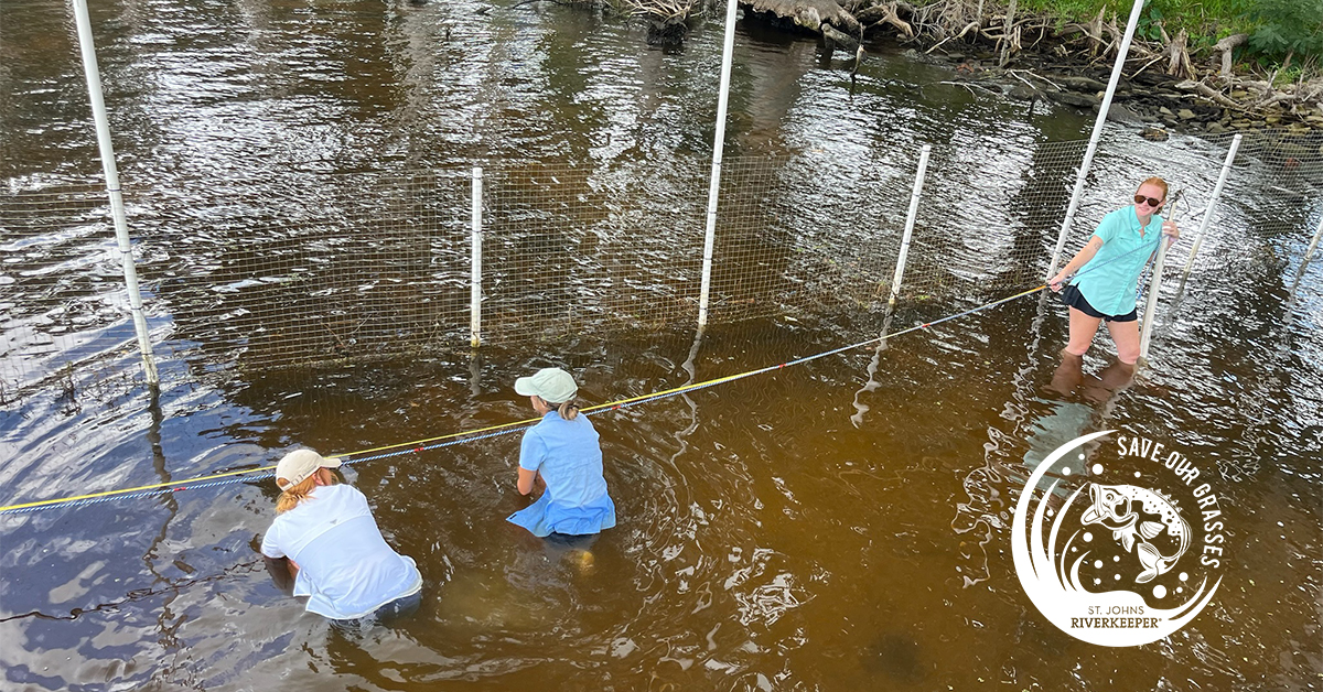 Watershed-Wide Crisis Requires A Watershed Movement - St. Johns Riverkeeper