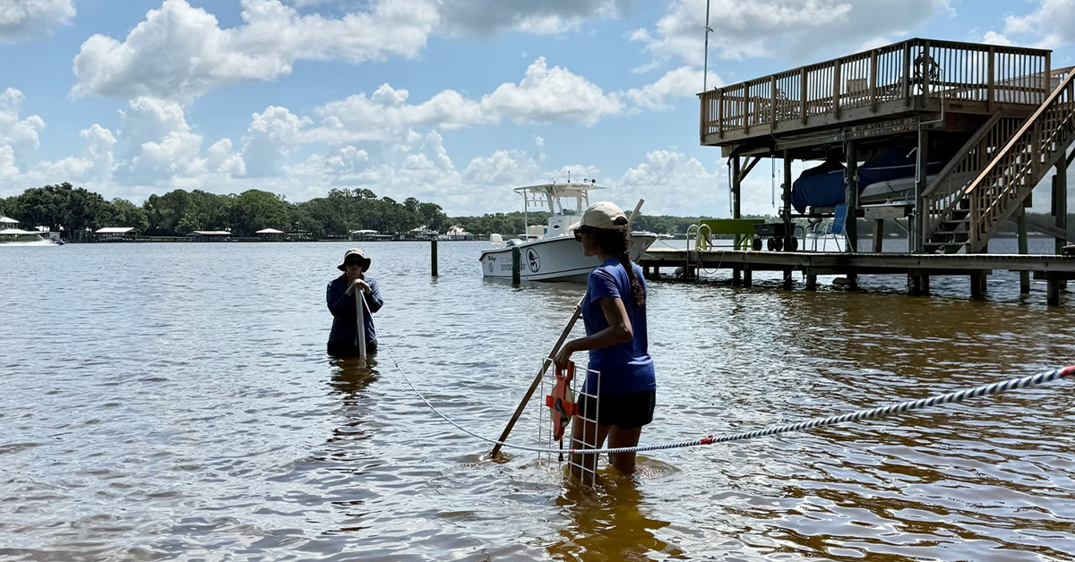 May 2026 SAVe Our River's Grasses Expedition - St. Johns Riverkeeper